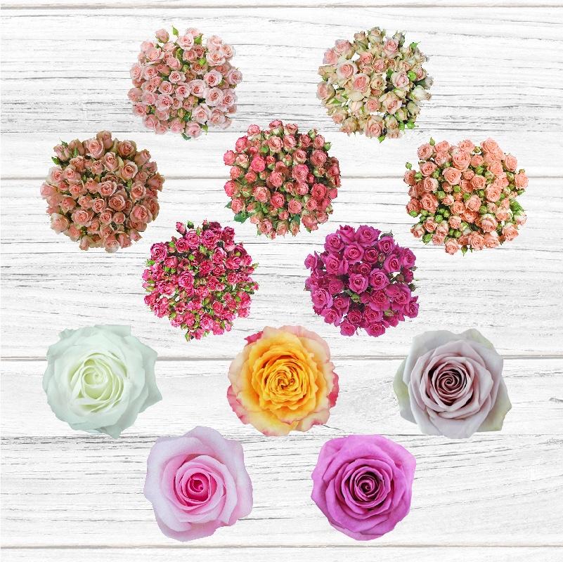 Roses & Spray Roses - Mix Box – La Hacienda Flowers